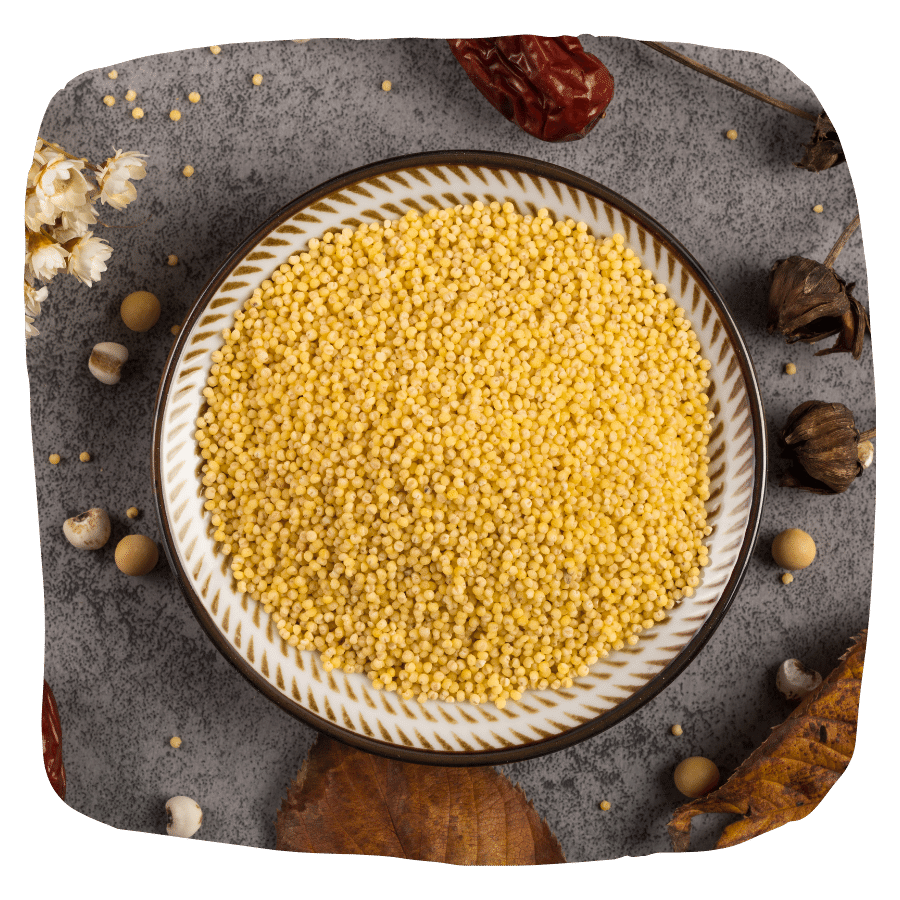 Have you started consuming MILLETS, yet? – Born Reborn